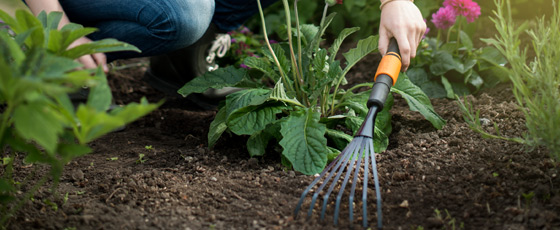 Fiskars QuickFit - meingartencenter24.de | meingartencenter24.de ...